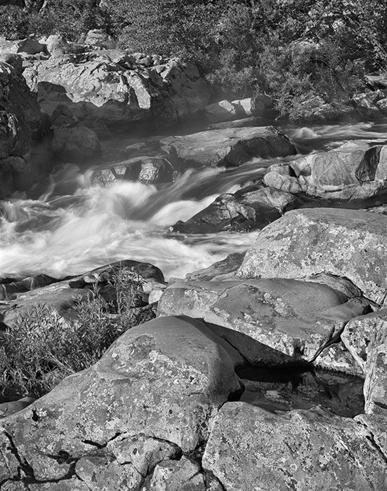 St. Francis River, Missouri – Richard Sprengeler